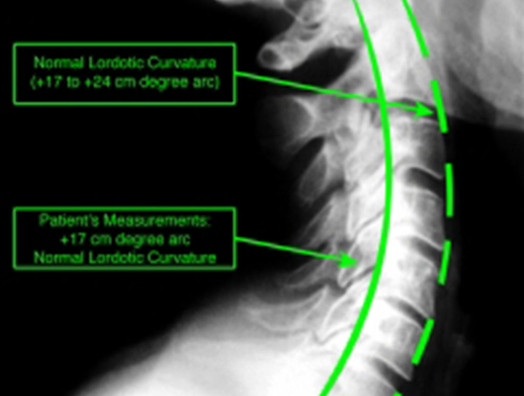 Case Studies - Dr Marink's